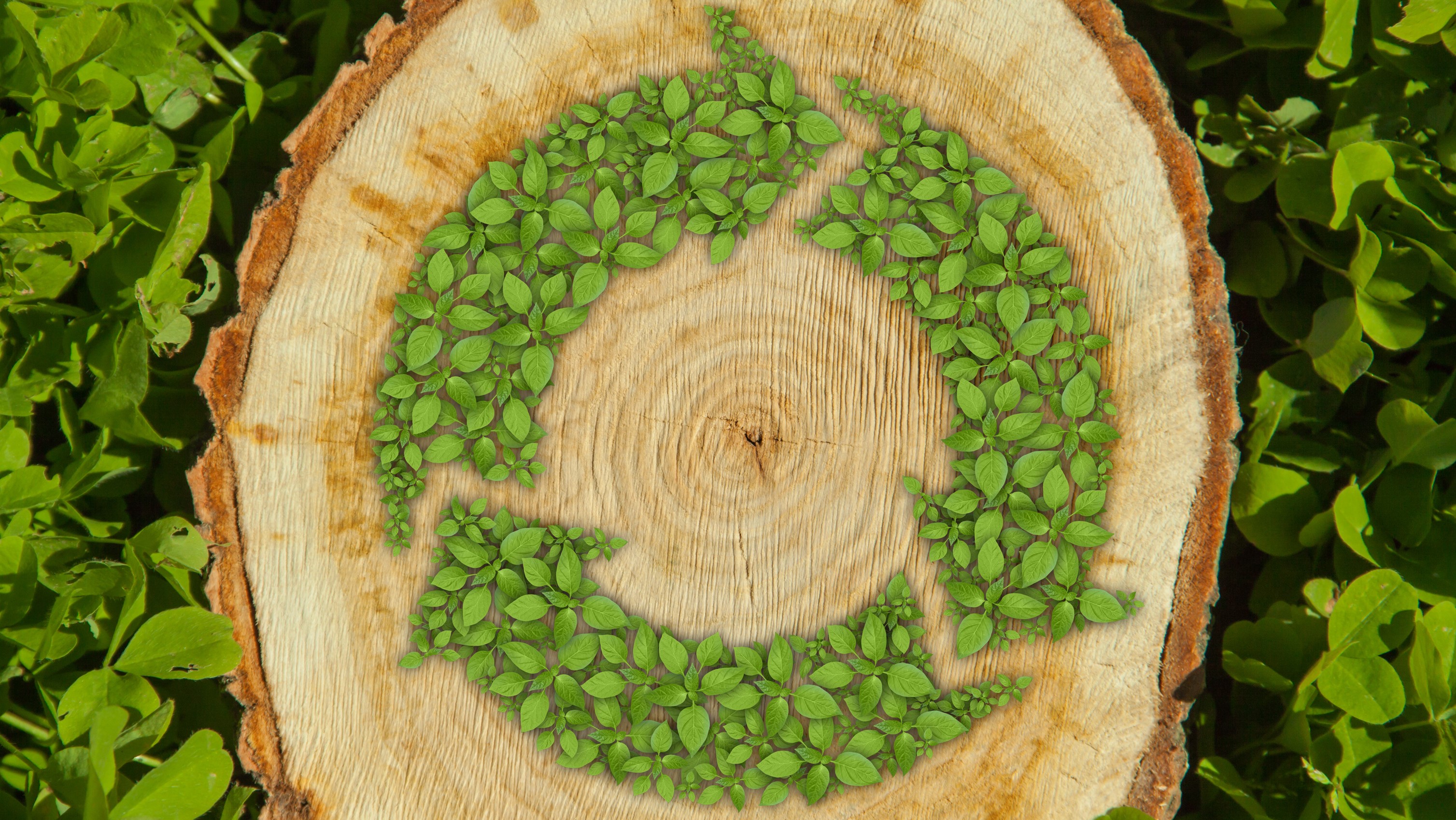 Wood Products: Lower Embodied Energy for Reduced Greenhouse Gas Emissions